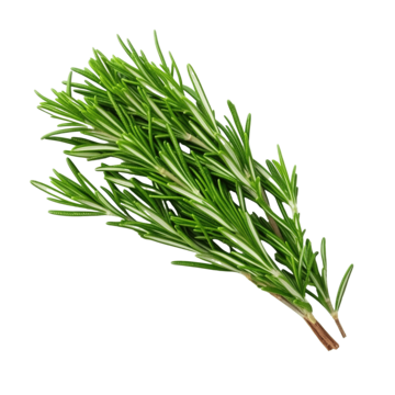 Rosemary Clamshell 1 oz – Veruca San Elijo